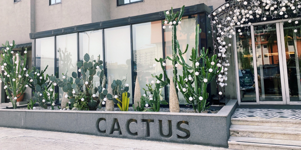 Places in Lagos| Cactus Restaurant – MARIAM SHITTU